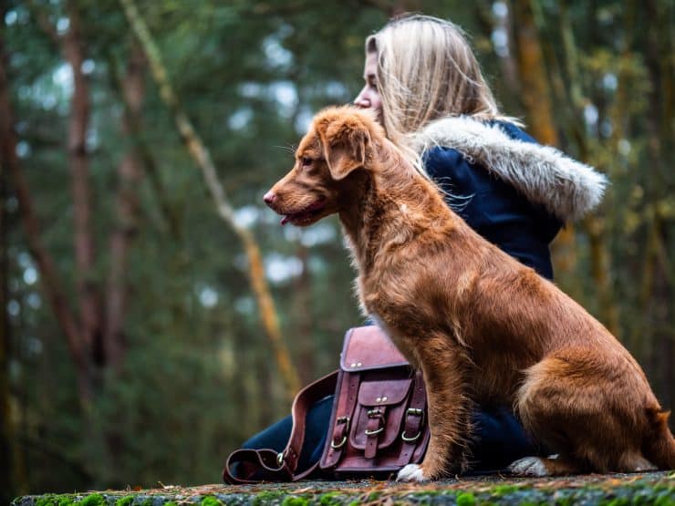 How To Connect With Your Dog on a Deeper Level | Superb Dog