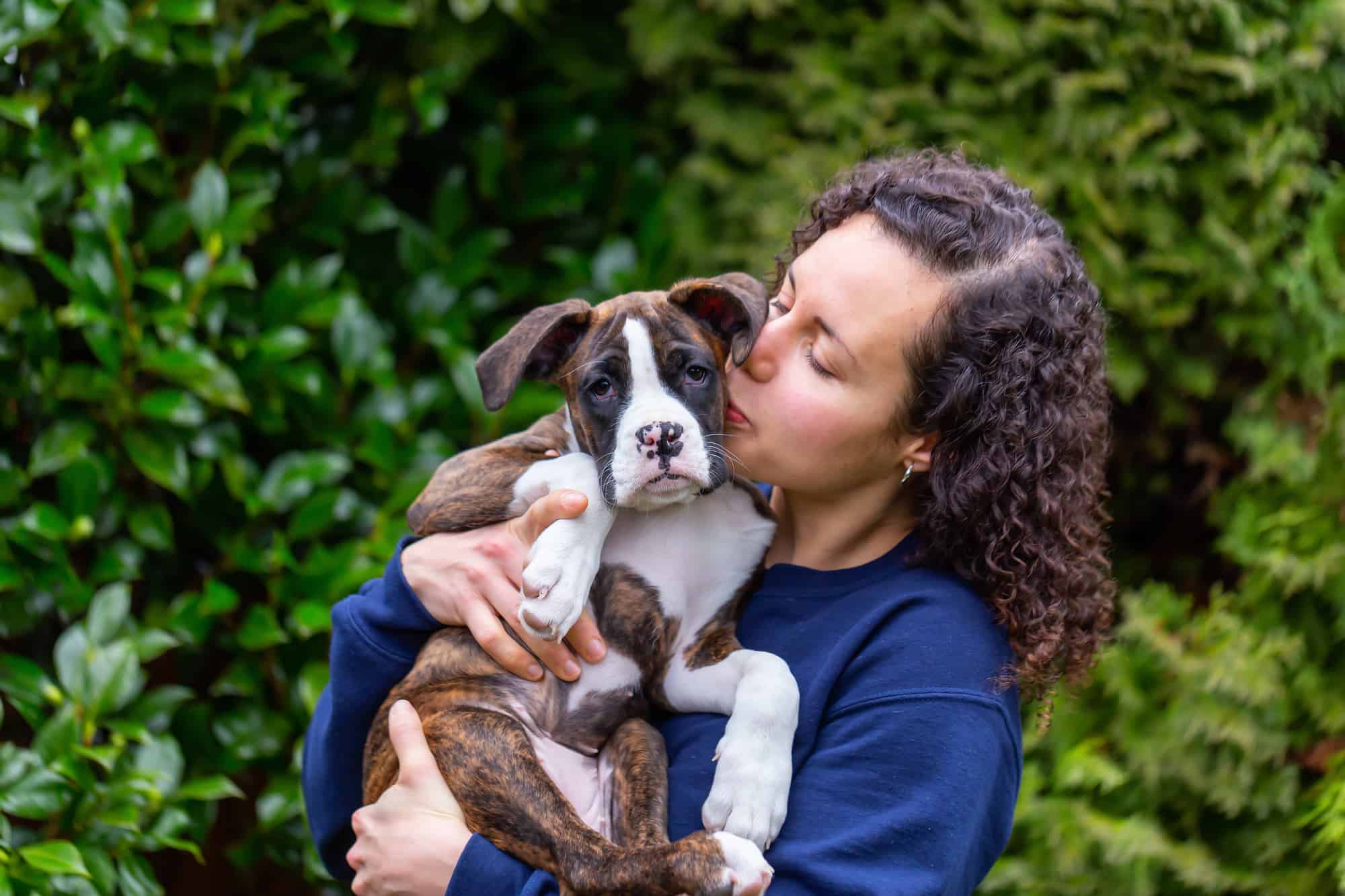 Do Dogs Like Being Picked Up do-dogs-like-being-picked-up