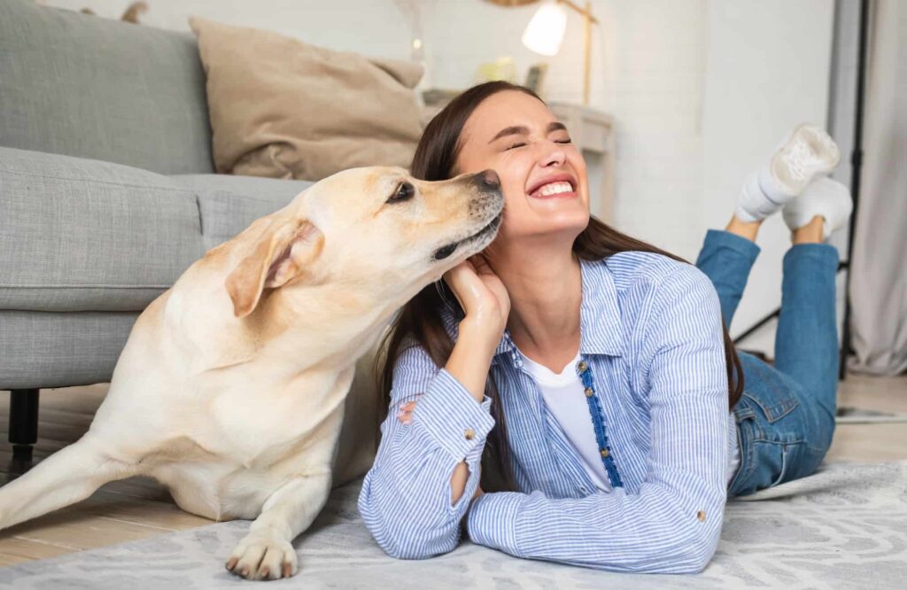Why Does My Dog Flea Bite Me Is Flea Biting Dangerous To People why-does-my-dog-flea-bite-me-is-flea-biting-dangerous-to-people