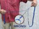 How to Use a Slip Lead on a Dog (With Photos!) | Superb Dog