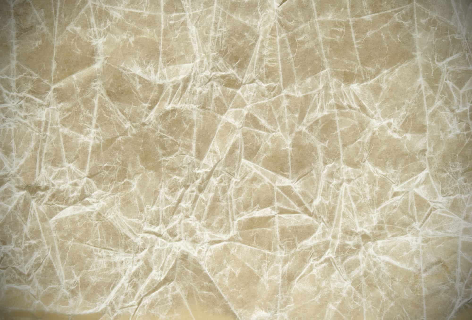 Can Dogs Digest Wax Paper can-dogs-digest-wax-paper